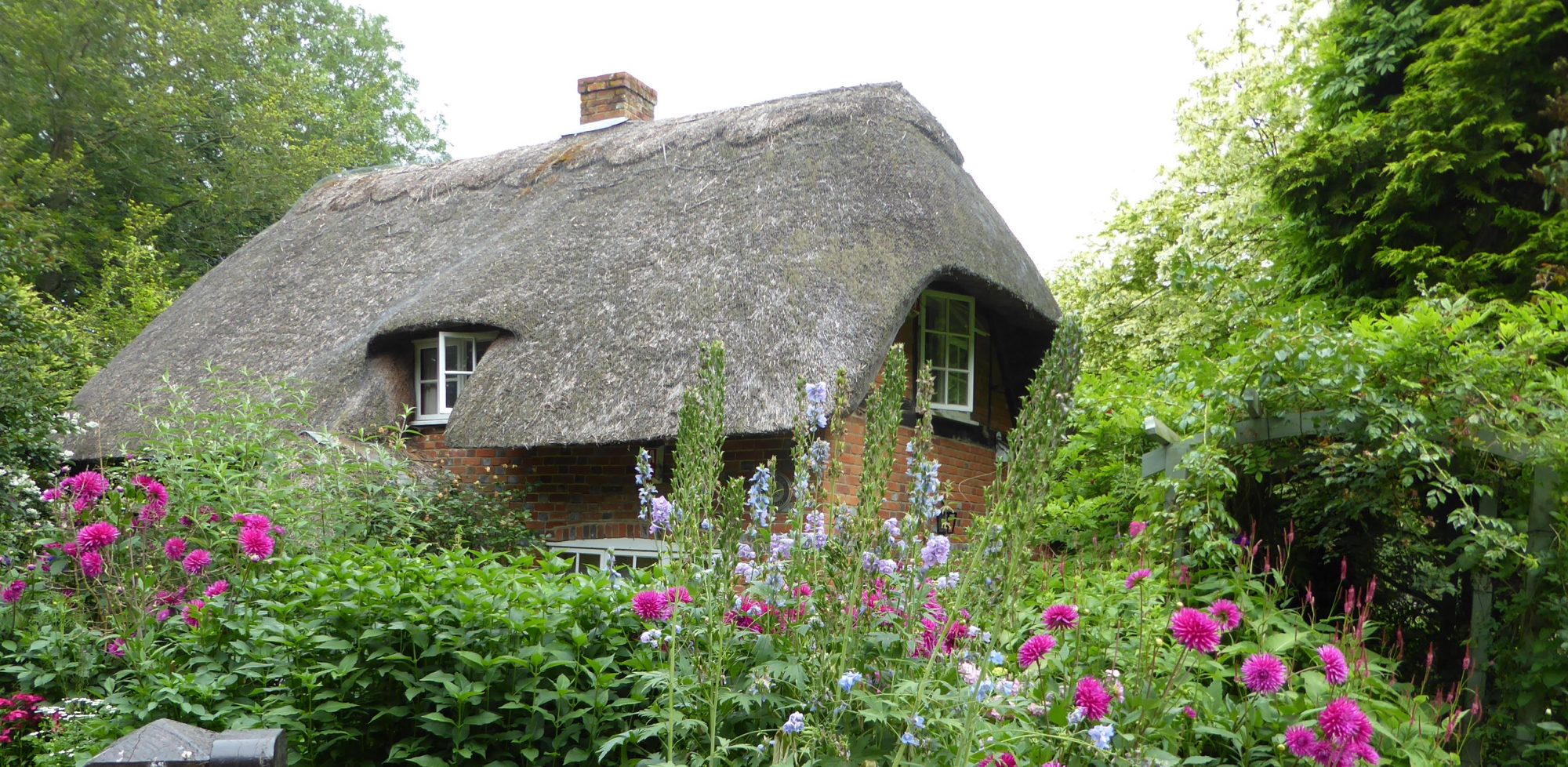 Baughurst Society - Driving positive change