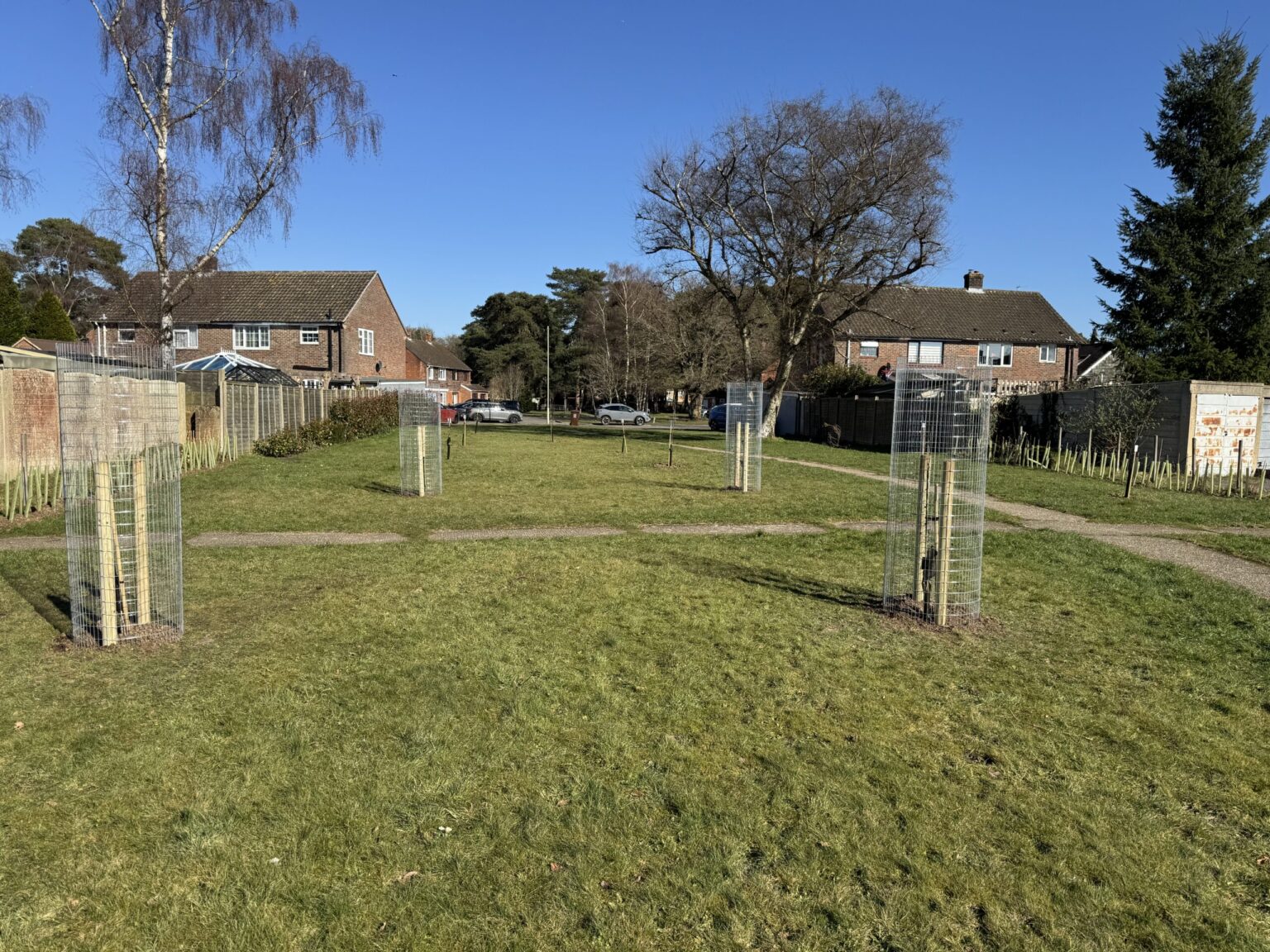 BCO – Progress in 2025 - Baughurst Society